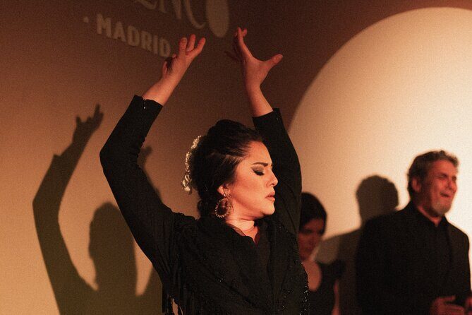 Centro Cultural Flamenco Madrid Admission Ticket - What Makes This Flamenco Show Special?