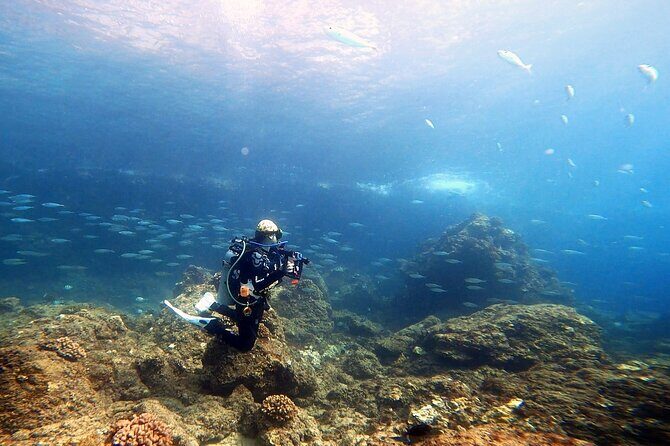 Certified Divers! Scuba dive the Ka'anapali Coast and more! - Practical Tips for Your Dive