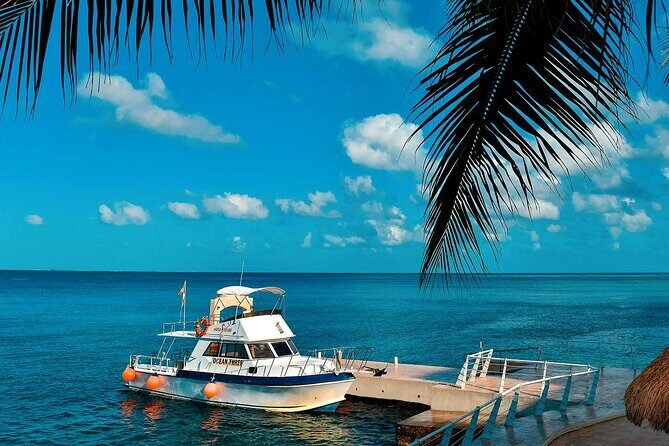 Certified Diving 2 Tanks in Cozumel - Who is This Tour Best For?