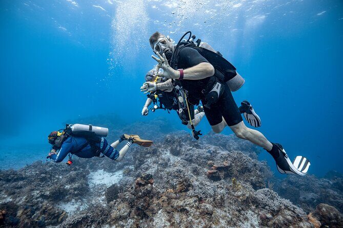 Certified Diving 2 Tanks in Cozumel - FAQs