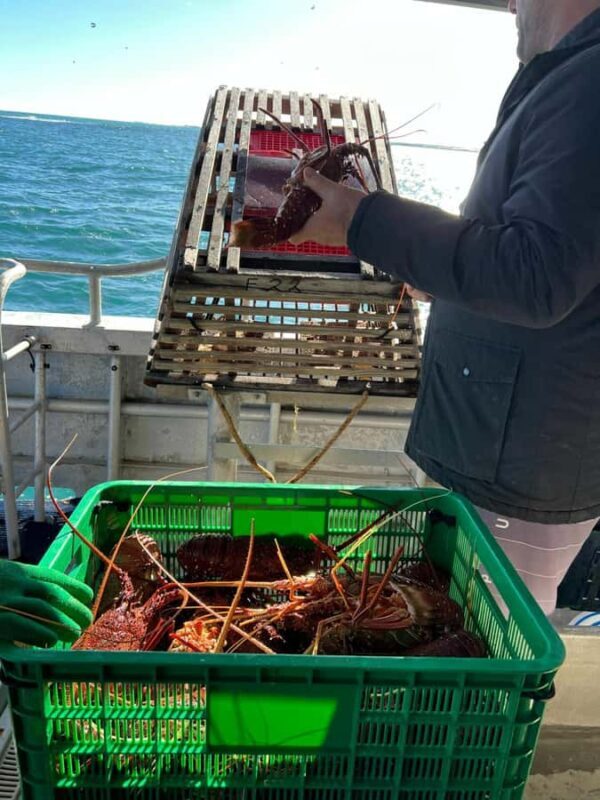 Cervantes: Lobster Catching Tour - Final Thoughts: Is It Worth It?