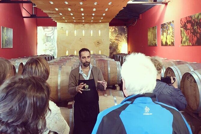 Cesani Wine Experience - Final Thoughts: Who Should Book This Tour?