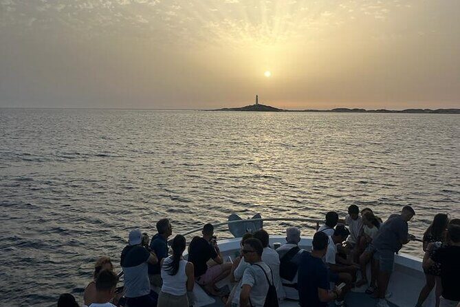 Cetacean Watching Tour - Detailed Breakdown of the Tour