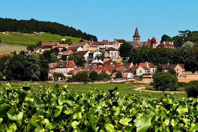 Chablis 20 Exquisite Wines Tasting Trip in Small-Group from Paris - Authentic Experiences and Hidden Gems