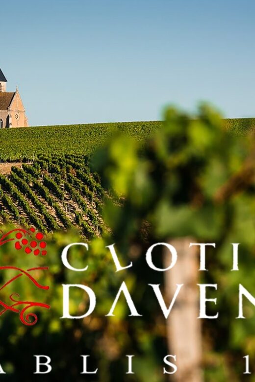 Chablis Clotilde Davenne visit and tasting in english - Final Thoughts: Who Will Love This Tour?