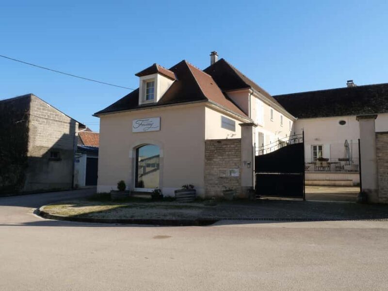 Chablis: Tour and tasting Family-run winery - Authenticity and Experience Quality