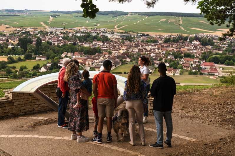 Chablis: Visit of the Grand Cru vineyard - Practical Tips for Enjoying Your Visit