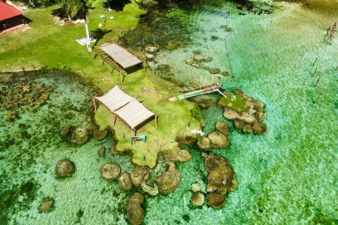 Chacchoben Mayan Ruins and Bacalar Lagoon from Costa Maya - Starting the Journey: From Costa Maya to Mayan Mysteries