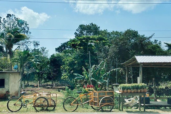 Chacchoben Mayan Ruins and Mayan Experience Tour from Costa Maya - Final Thoughts