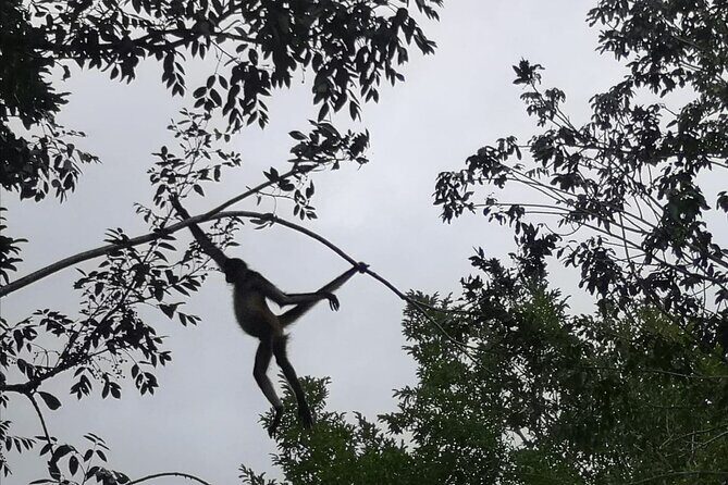 Chacchoben Mayan ruins with tour guide - FAQs