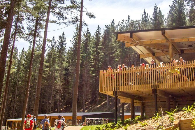 Chairlift Sightseeing Pass at the Christchurch Adventure Park - Authentic Insights from Reviewers