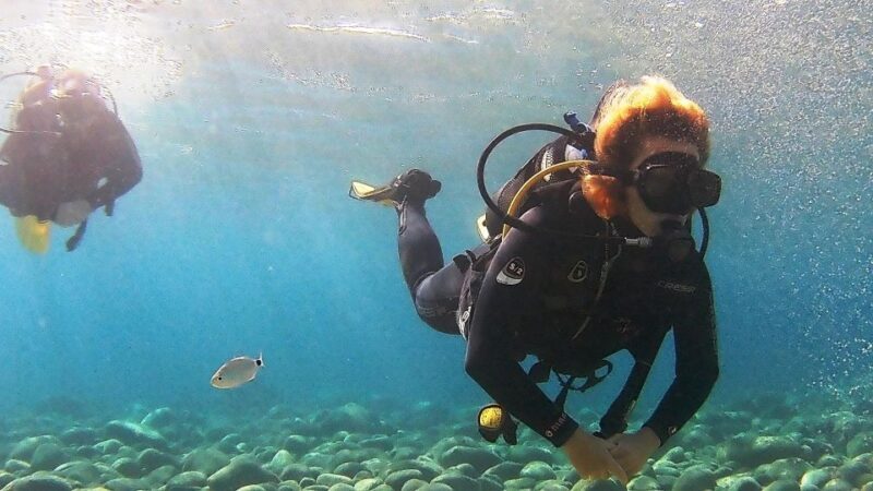 Chalkidiki: Scuba Diving for Beginners in Kassandra - Introduction
