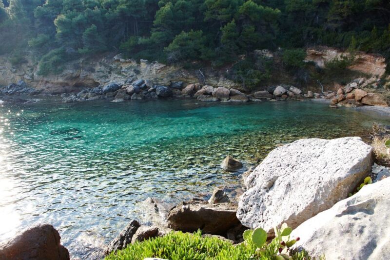 Chalkidiki: Scuba Diving for Beginners in Kassandra - Who Should Consider This Tour?