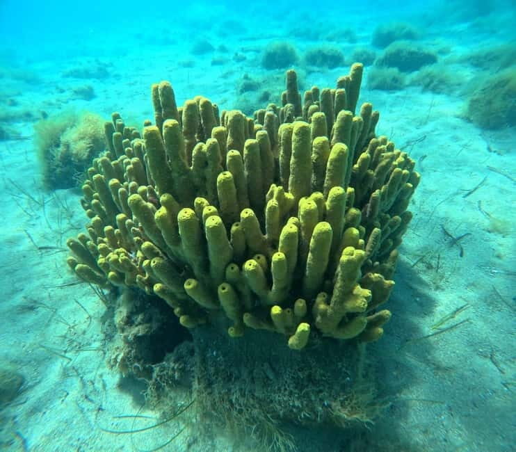 Chalkidiki: Snorkeling Adventure in Sithonia - The Itinerary: What to Expect