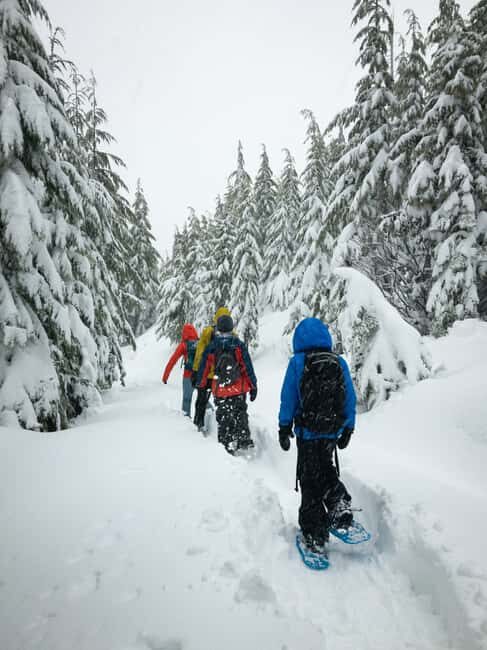 Chamonix: Snowshoe Walk Under the Stars with a Private Guide - Key Points
