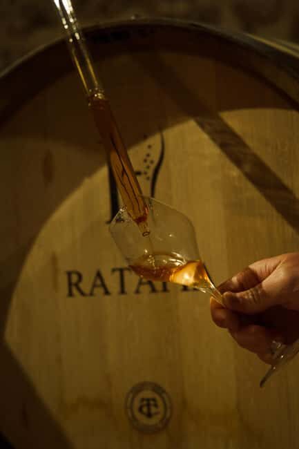 Champagne Cellar Experience: Explore our historic cellars - FAQs