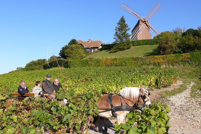 Champagne Day Tour with Reims, Cellars Visit & Champagne Tasting from Paris - Price and Overall Value