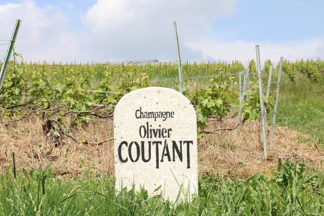 Champagne Domaine Coutant, Wine Discovery and Tasting - Key Points