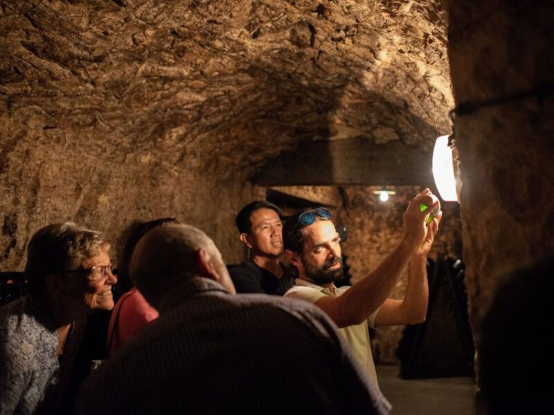 Champagne: E-Bike Champagne Day Tour with Tastings and Lunch - The Sum Up: Who Is This Tour Best For?