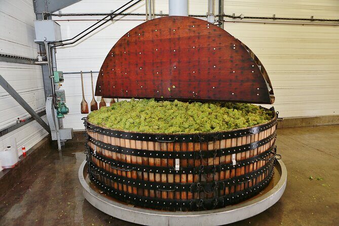 Champagne Guy De Chassey: Traditional Tour & Tasting - A Closer Look at the Tour