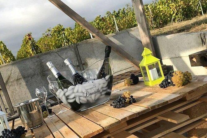 Champagne Lamiable: Stroll and taste in the Grand Cru Champagne vineyard - Key Points