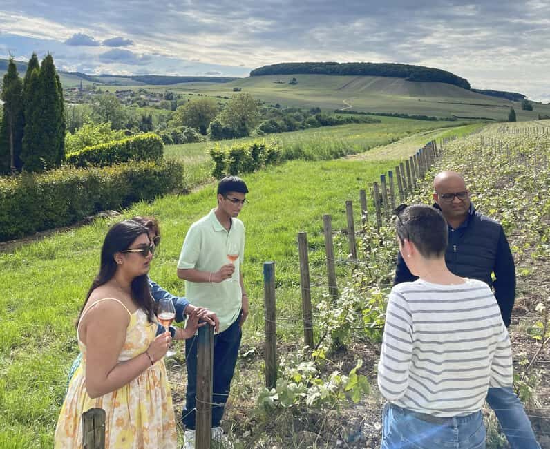 Champagne Munoz Bruneau : Half Day Visit and Tasting - How the Tour Works and What to Expect