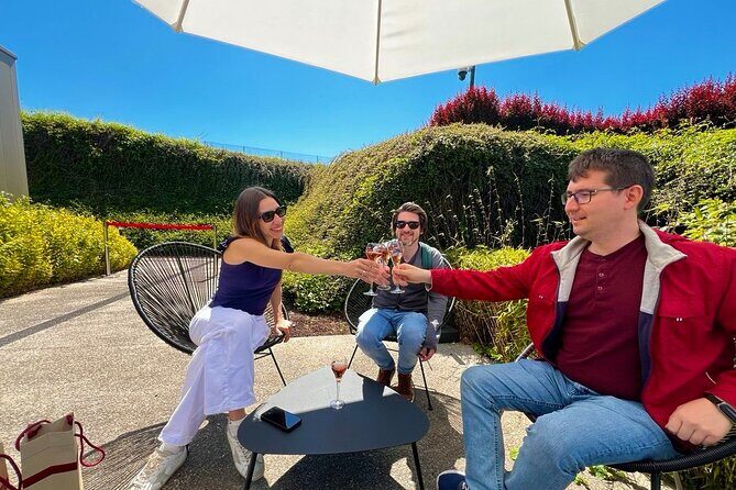 Champagne Picnic and Tasting on Vineyard. Private Tour from Paris - Key Points