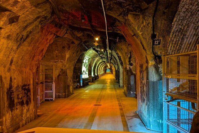 Champagne Picnic and Tasting on Vineyard. Private Tour from Paris - Final Thoughts