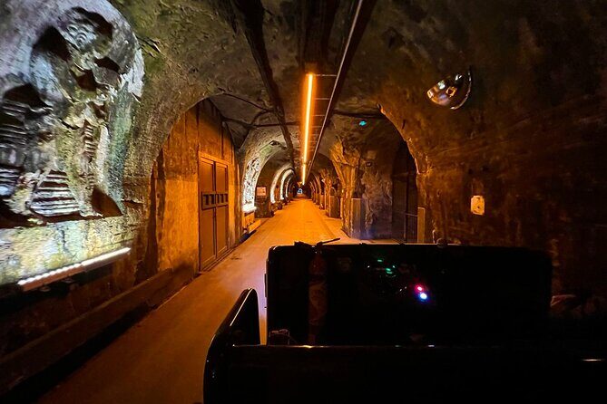 Champagne Picnic and Tasting on Vineyard. Private Tour from Paris - FAQ