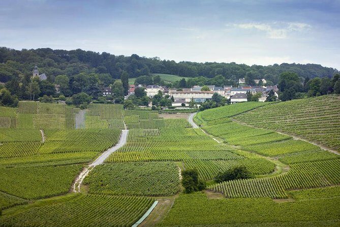 Champagne Region Private Day Trip from Paris - Key Points