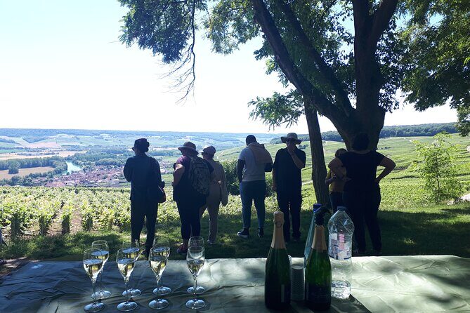 Champagne tasting, panoramic walk in the vineyards - A Closer Look at the Experience