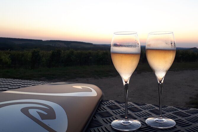 Champagne tasting, panoramic walk in the vineyards - Final Thoughts
