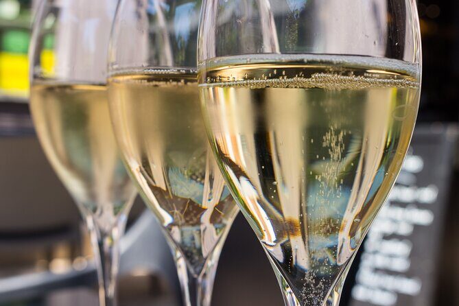 Champagne Tasting Tour Day Trip From Paris - The Itinerary in Detail: What to Expect