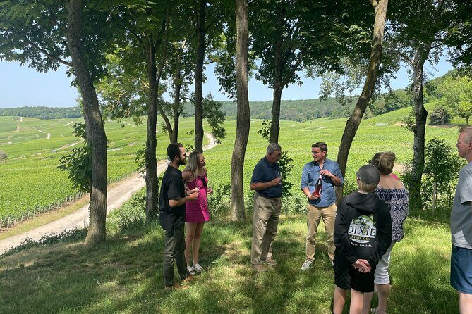 Champagne Tour: 3 family estates, 10 Tastings & Lunch - The Itinerary in Detail