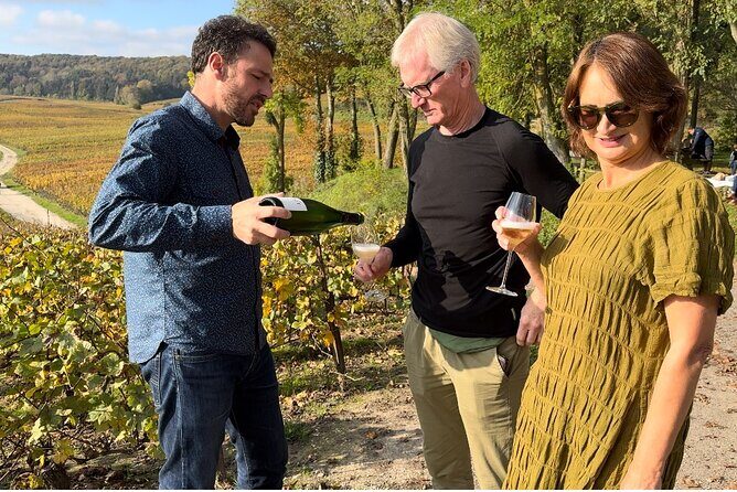 Champagne Tour from Paris with Sommelier and Premium Wineries - Key Points
