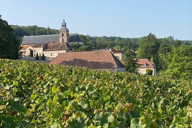 Champagne Tour from Paris with Sommelier and Premium Wineries - An Honest Breakdown of the Champagne Day Tour