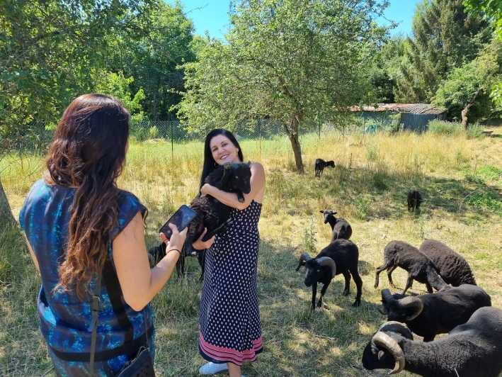 Champagne Vineyard Experience: Explore the terroir - Practical Details and What to Expect