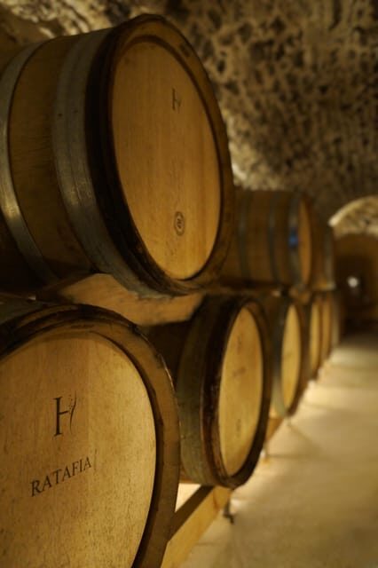 Champagne Vineyard Experience: Explore the terroir - Authenticity and Value