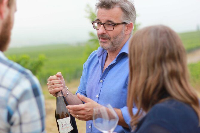 Champagne VIP Day Trip from Paris With Local PRIVATE Wine Expert Guide - Key Points