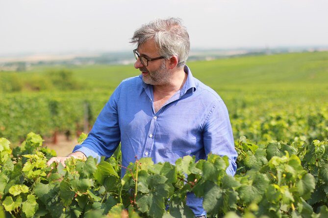 Champagne VIP Day Trip from Paris With Local PRIVATE Wine Expert Guide - FAQ