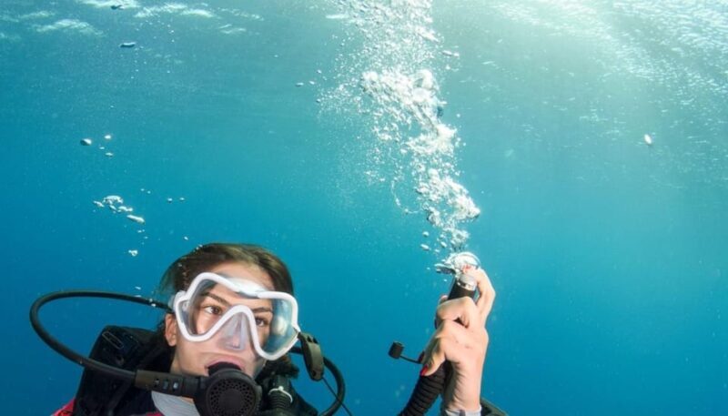 Chania: 2 Boat Dives for Certified Divers - What to Expect from the Experience