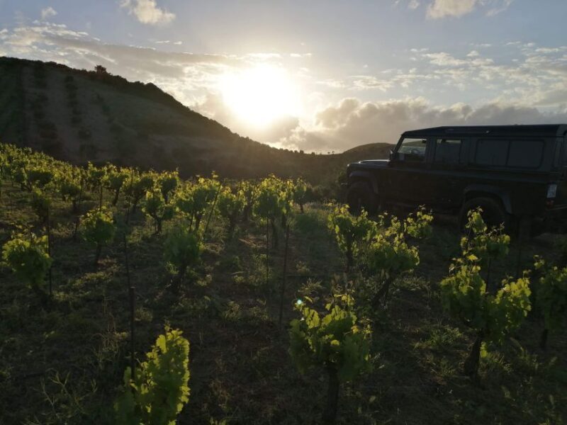 Chania 4x4 Sunset Safari Tour - The Sum Up