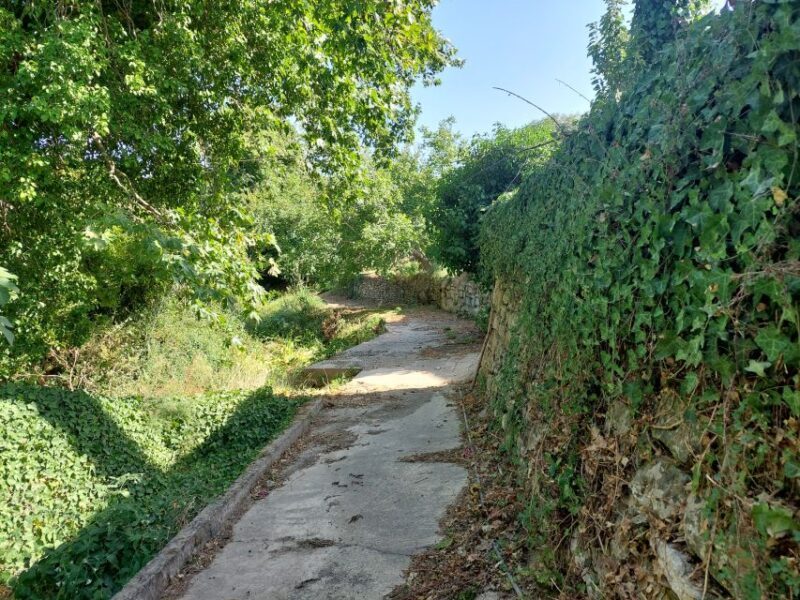 Chania: 5-Wine Tasting with Locals in Village near Kissamos - FAQs