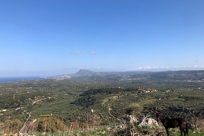 Chania Area: Cooking Class at a Farm in Stylos Village (organic) - Key Points