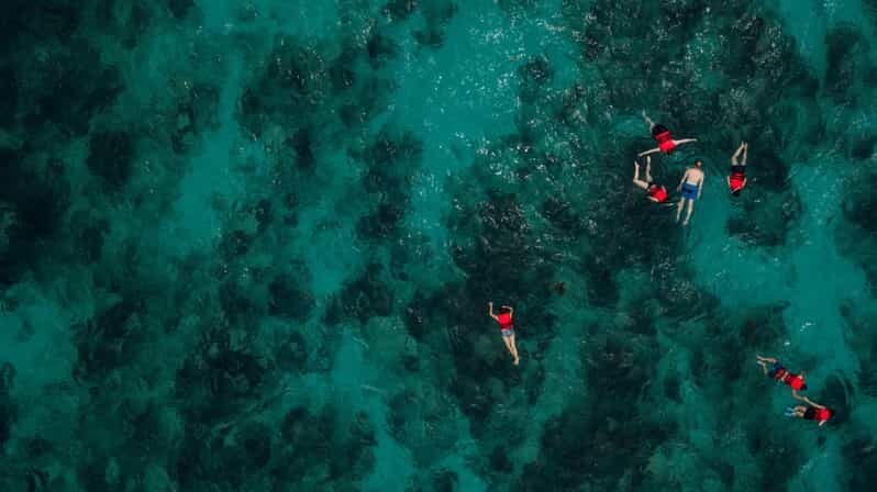 Chania: Boat Trip with Guided Snorkeling Tour - The Guides and Their Role