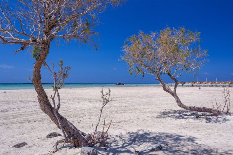 Chania: Elafonisi and Milia Mountain with Loungers and Lunch - The Lunch at Milia Mountain Retreat