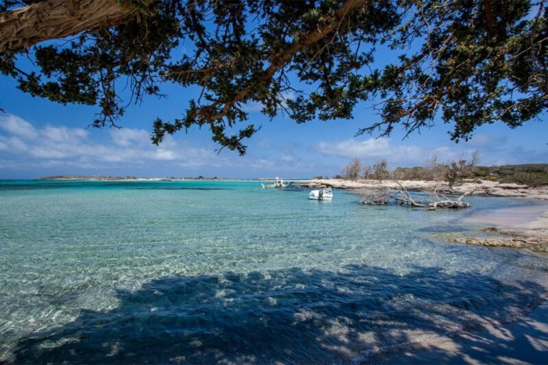 Chania: Elafonisi and Milia Mountain with Loungers and Lunch - The Overall Experience: What Sets It Apart