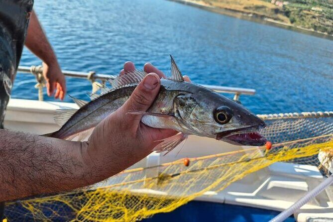 Chania Fishing with Nets Catch and Cook with a Local Fisherman - Key Points