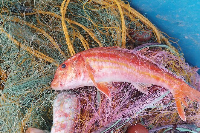 Chania Fishing with Nets Catch and Cook with a Local Fisherman - A Deep Dive into the Experience