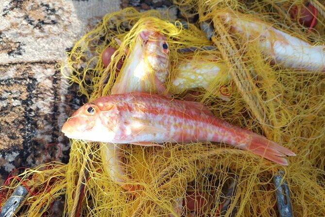 Chania Fishing with Nets Catch and Cook with a Local Fisherman - The Sum Up